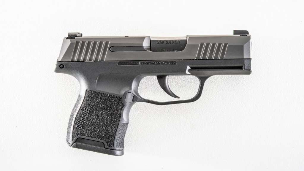 Sig P365 | Gun Stock Reviews