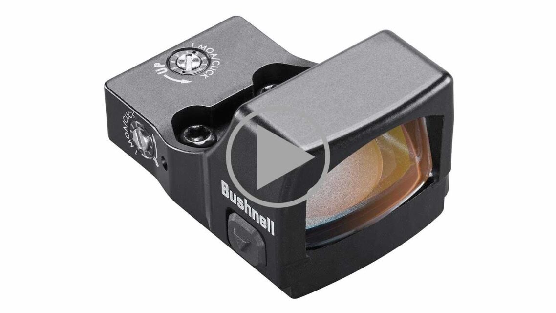 Bushnell RDS | Gun Stock Reviews